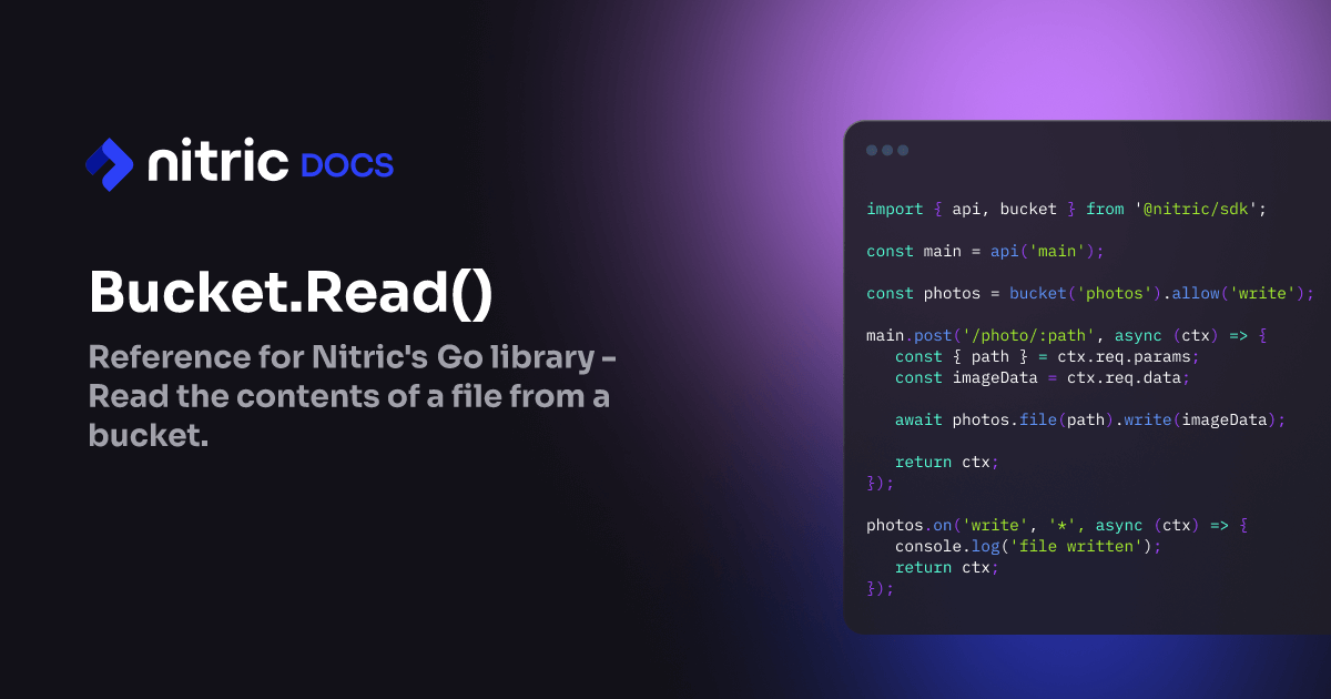 Go: Bucket.Read() | Nitric Documentation